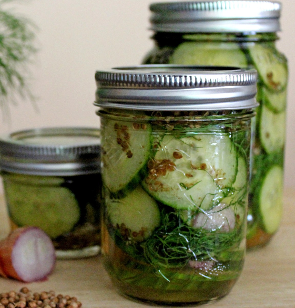 Quick pickled cucumbers with dill and coriander – Constantly Cooking ...