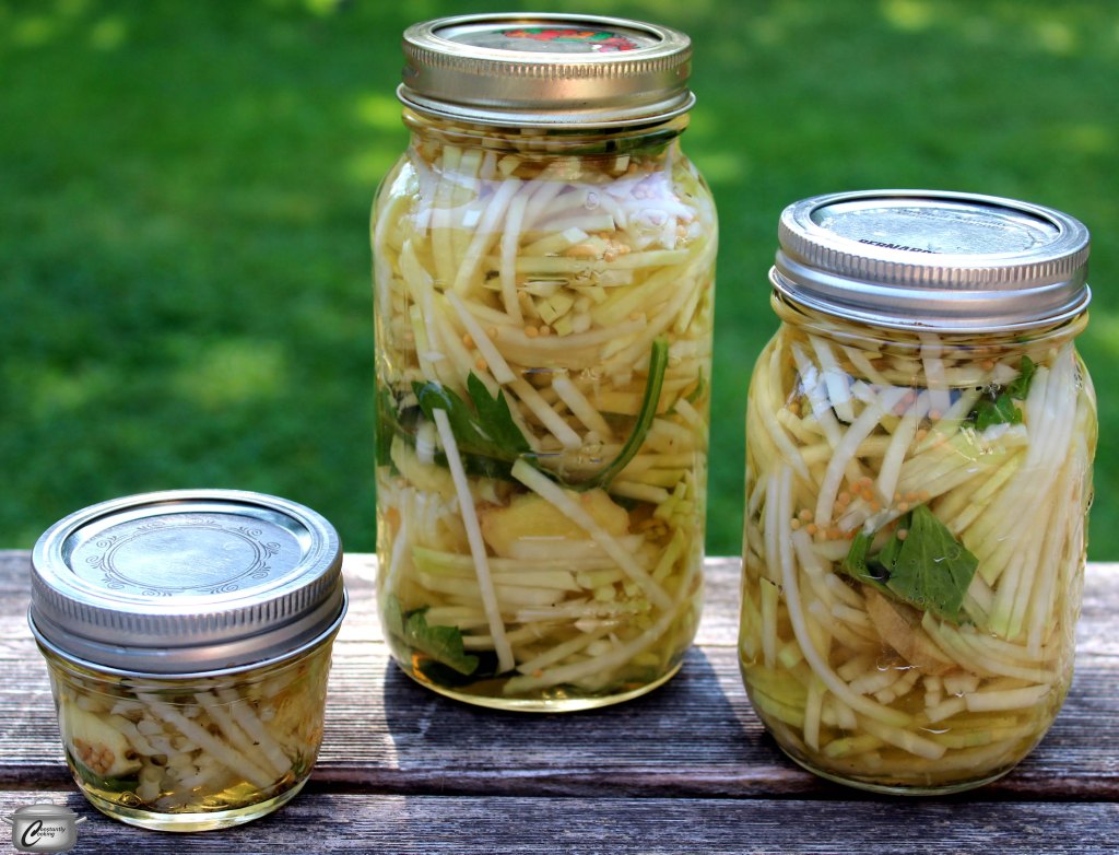 Pickled kohlrabi with garlic, ginger and celery leaves – Constantly ...