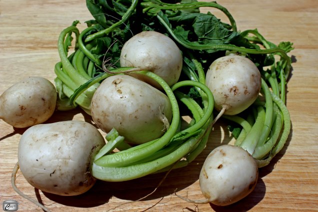 White turnips with miso-maple glaze – Constantly Cooking with Paula Roy