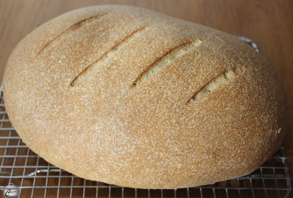Rustic corn flour bread – Constantly Cooking with Paula Roy