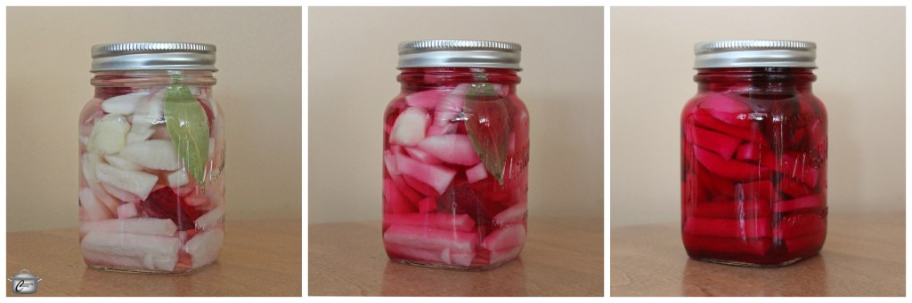 Lebanese-style quick pickled turnips – Constantly Cooking with Paula Roy