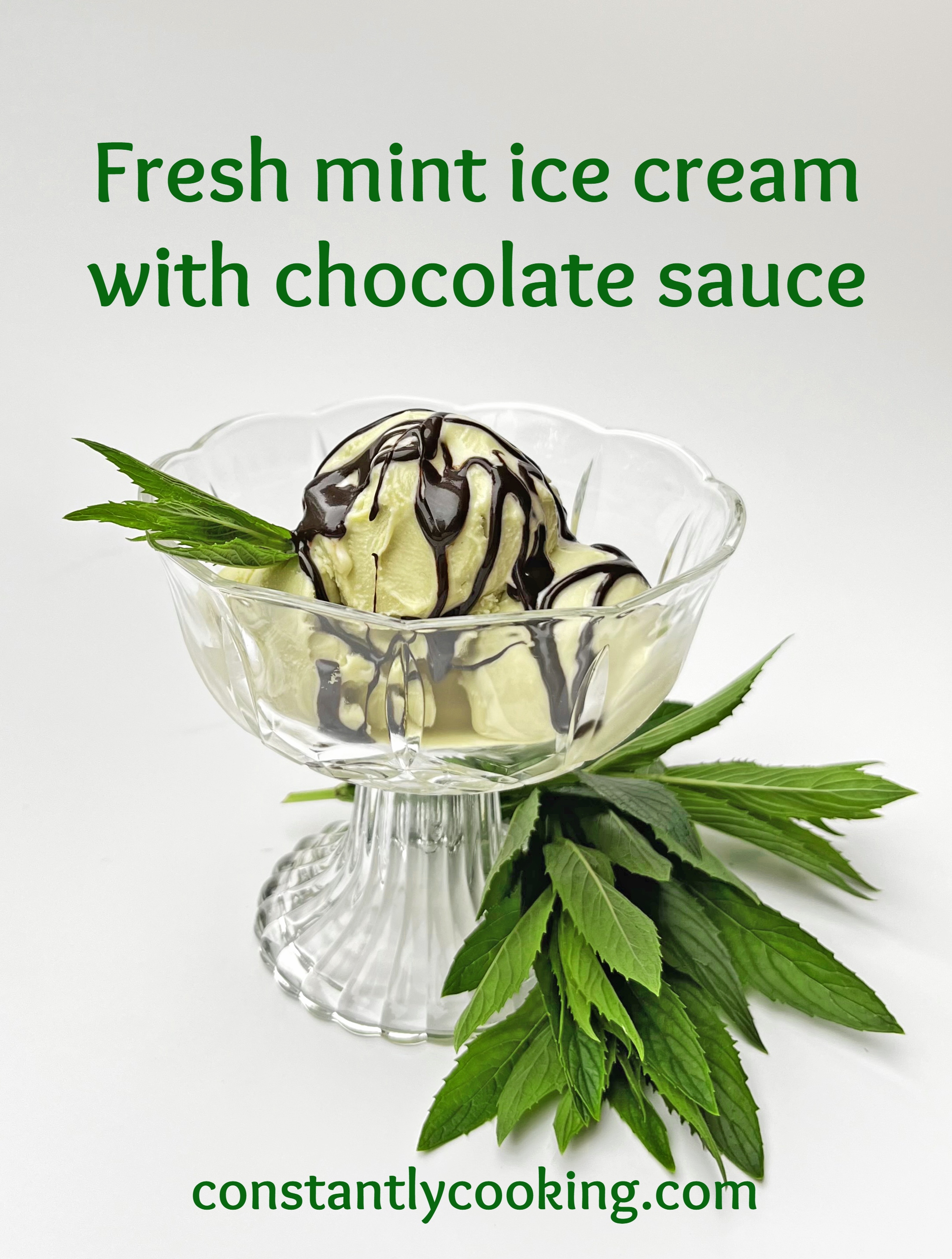 Fresh mint ice cream with chocolate sauce – Constantly Cooking with ...
