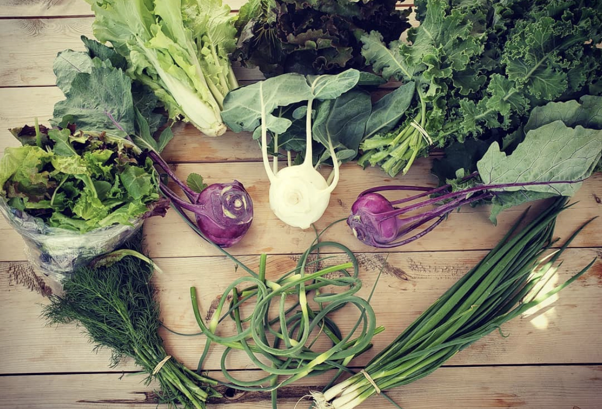 Eating local and fresh this year – Constantly Cooking with Paula Roy